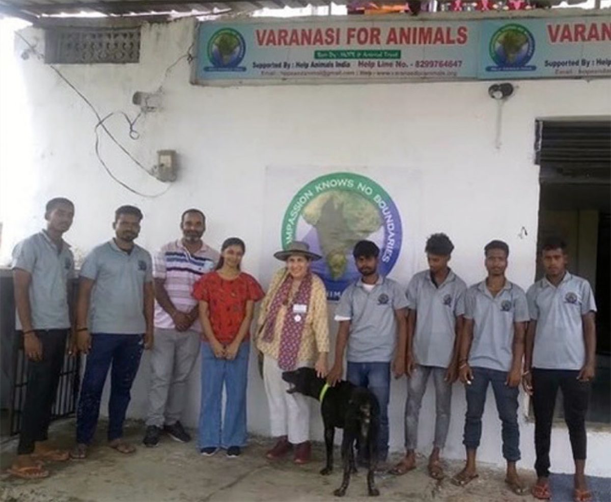 Visits to Nepal and India and much more! – Help Animals India - Saving India's Forgotten Animals